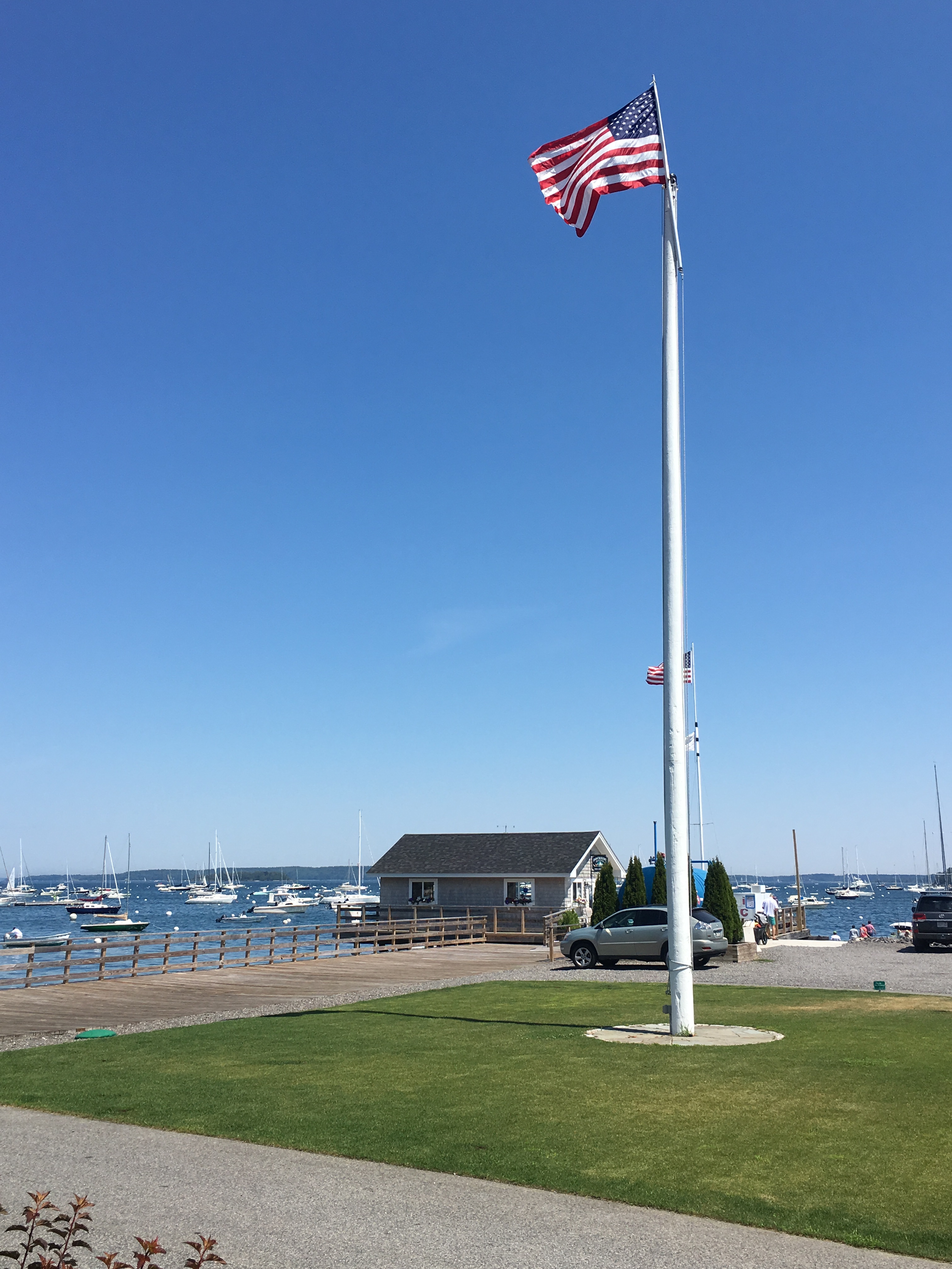 Maine-ly Perfect! – Contessa & The Toad Get Hitched