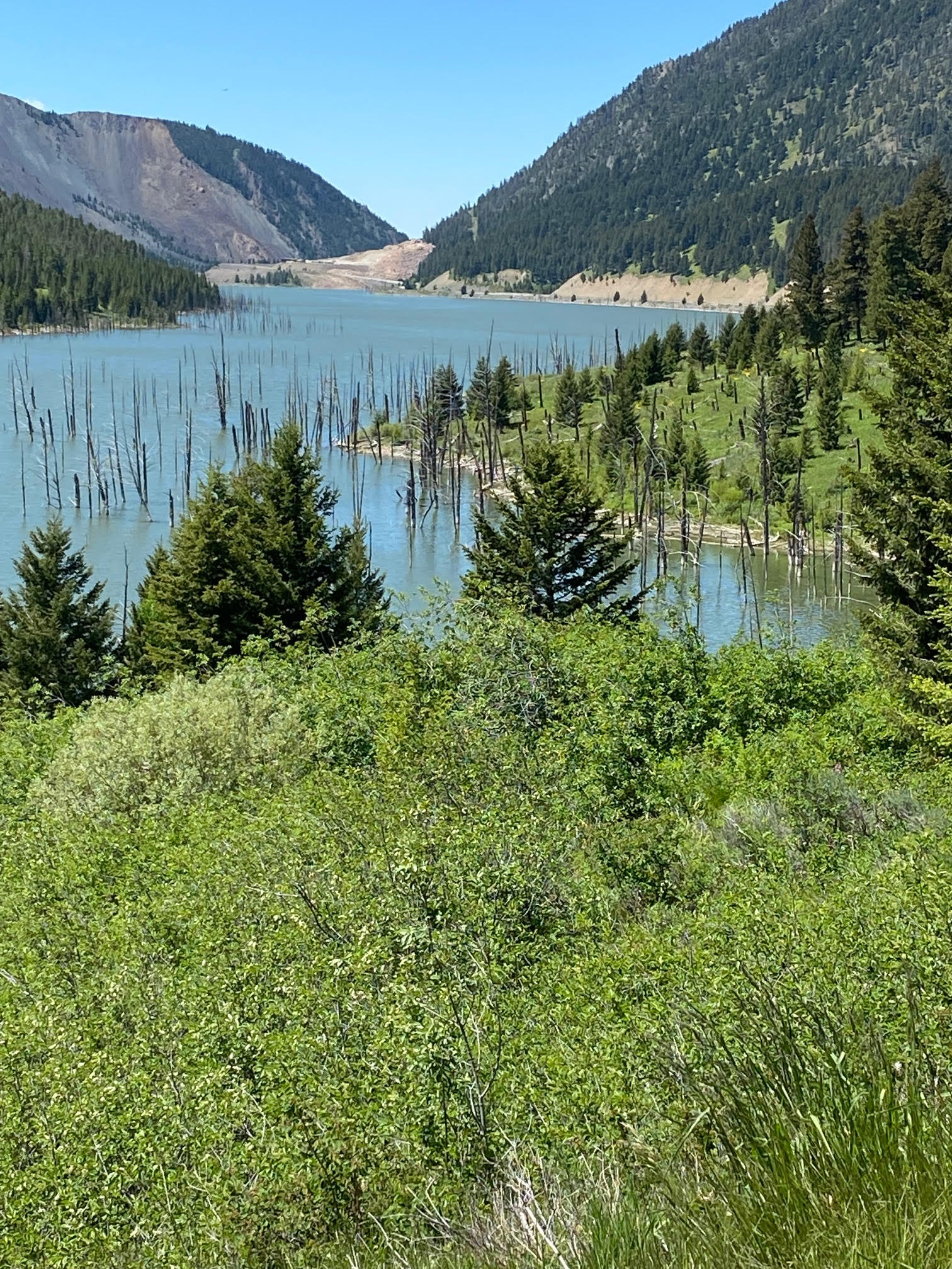 Earthquake Lake – Created in 1959 – Contessa & The Toad Get Hitched